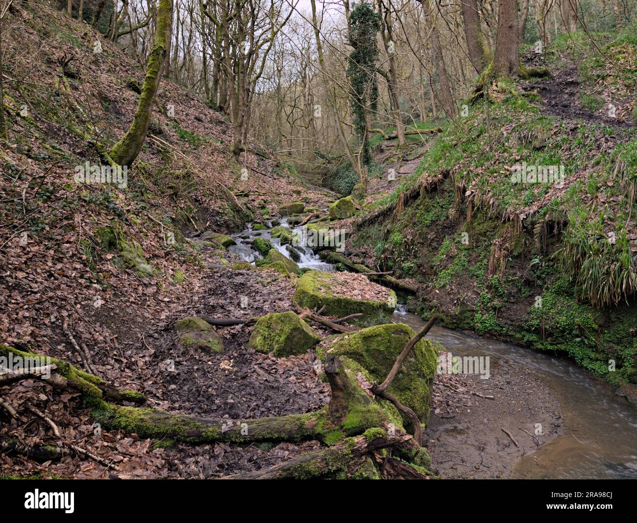 The ford over Dean Clough in Dean Wood, Netherton, Huddersfield Stock ...