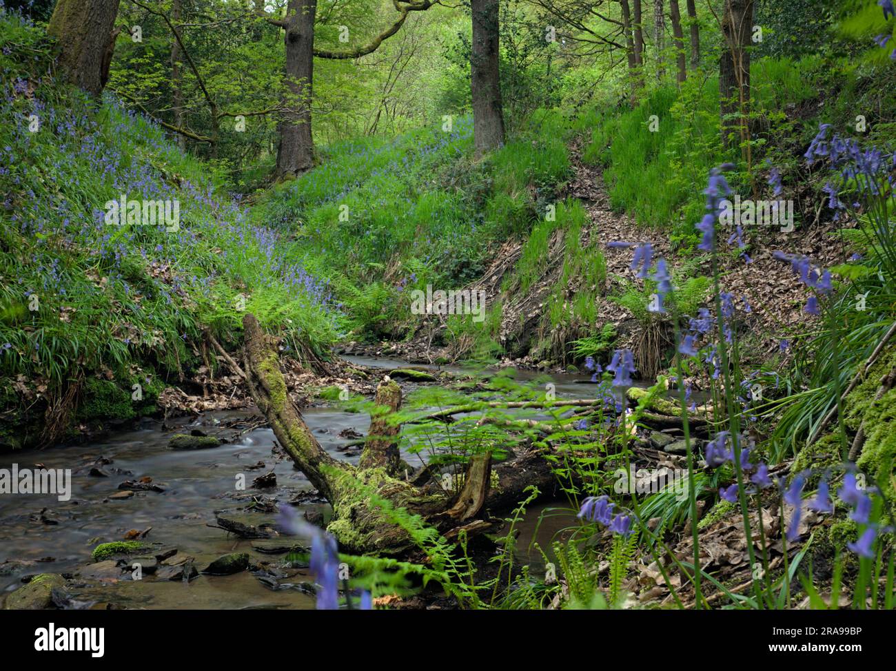 Netherton yorkshire hi-res stock photography and images - Alamy