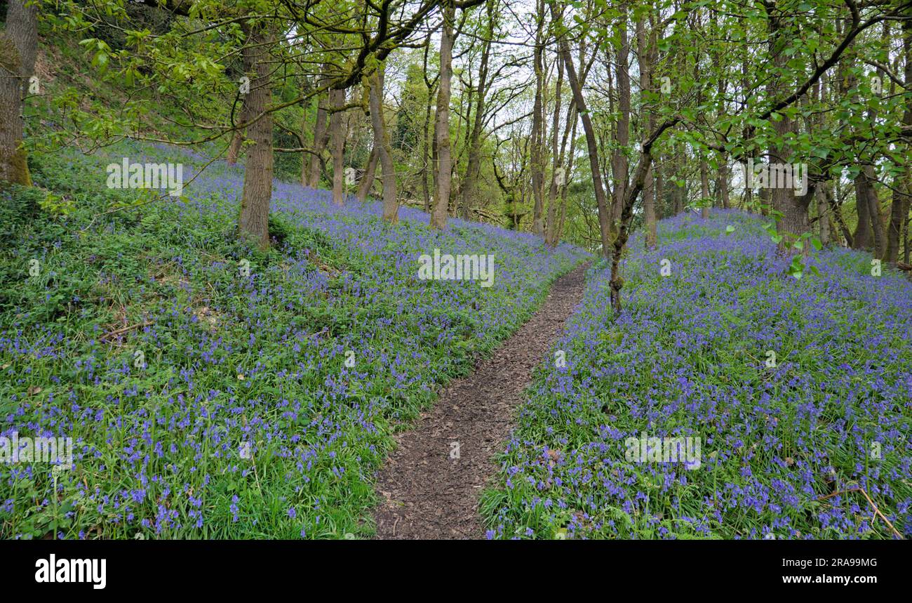 Netherton yorkshire hi-res stock photography and images - Alamy