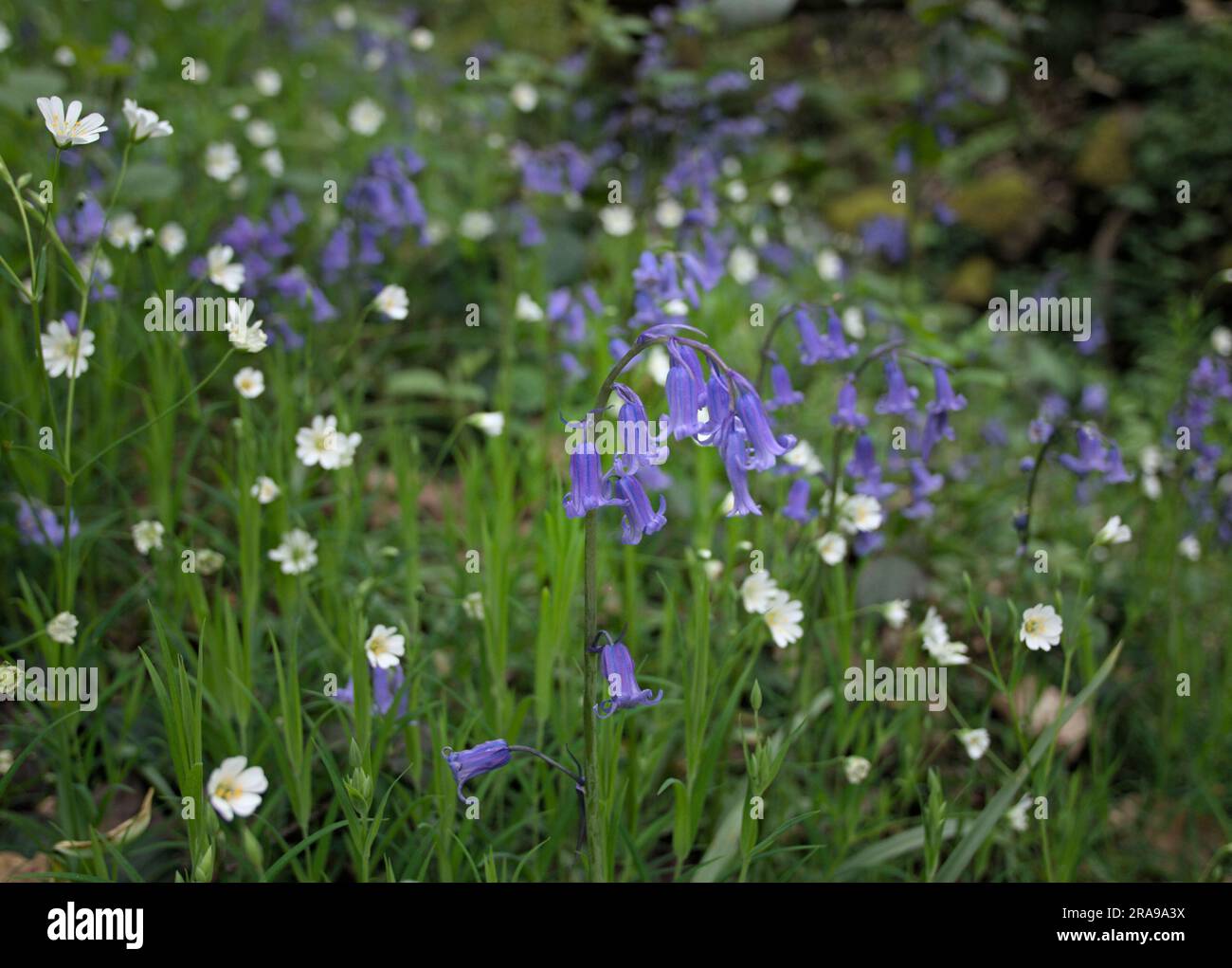 Netherton yorkshire hi-res stock photography and images - Alamy