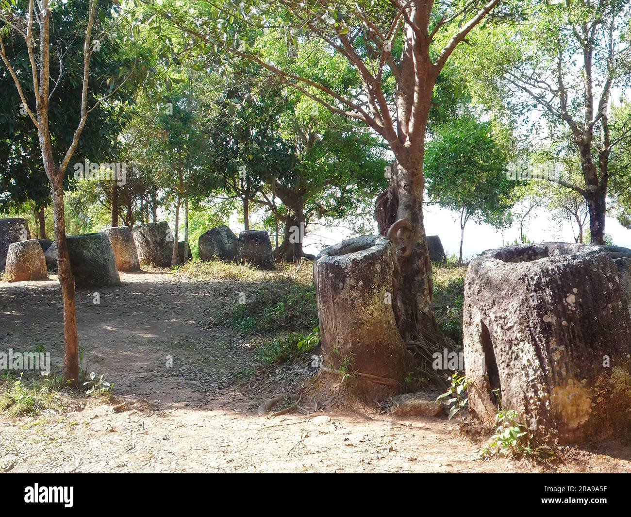 Plain of jars Stock Photo - Alamy