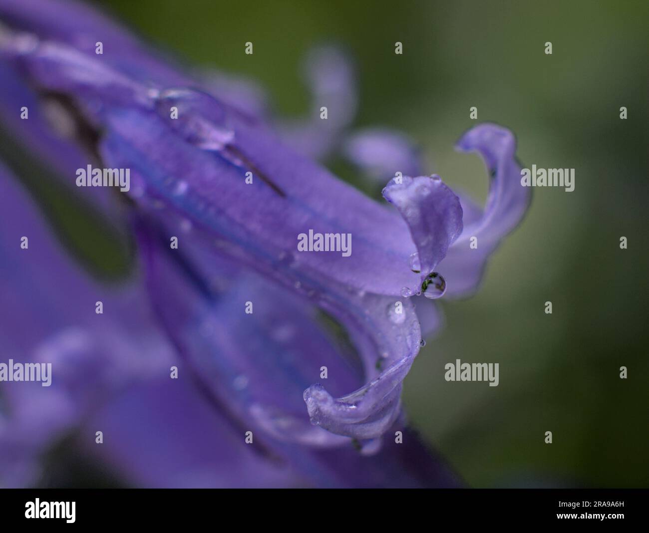 Netherton hi-res stock photography and images - Alamy