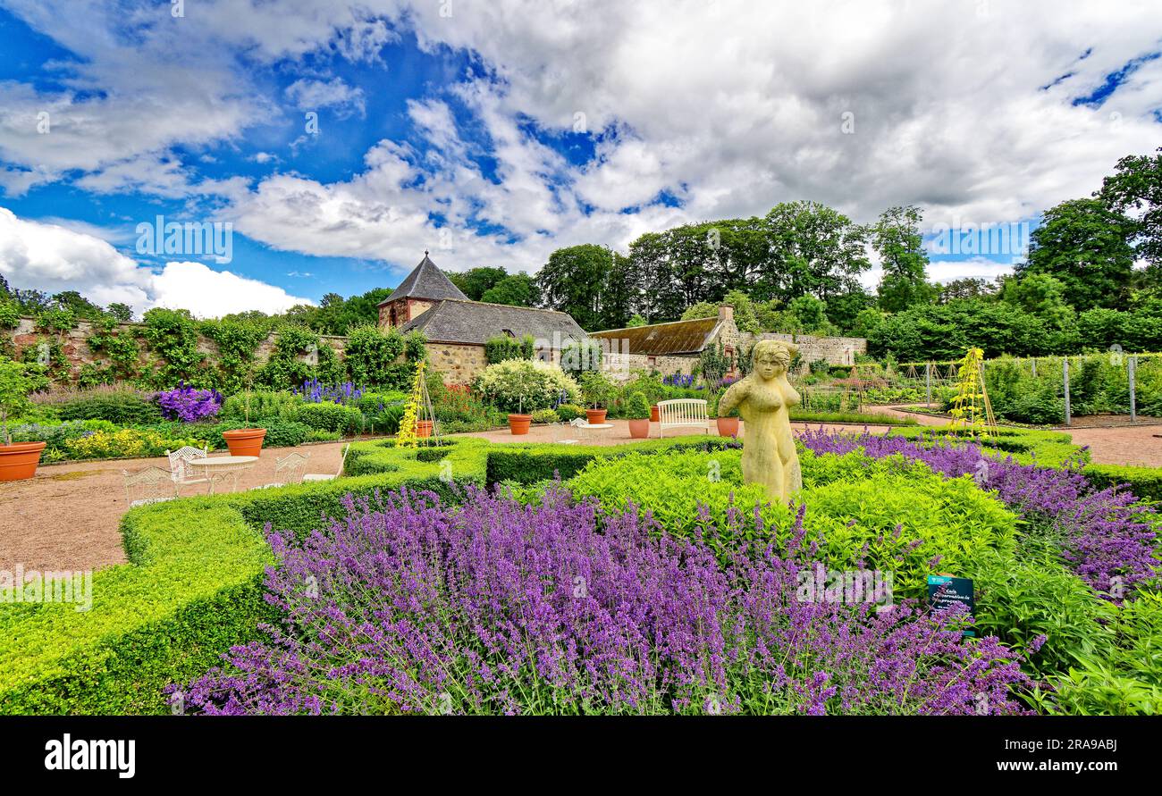Fyvie Castle Fyvie Aberdeenshire Scotland the walled garden in early ...