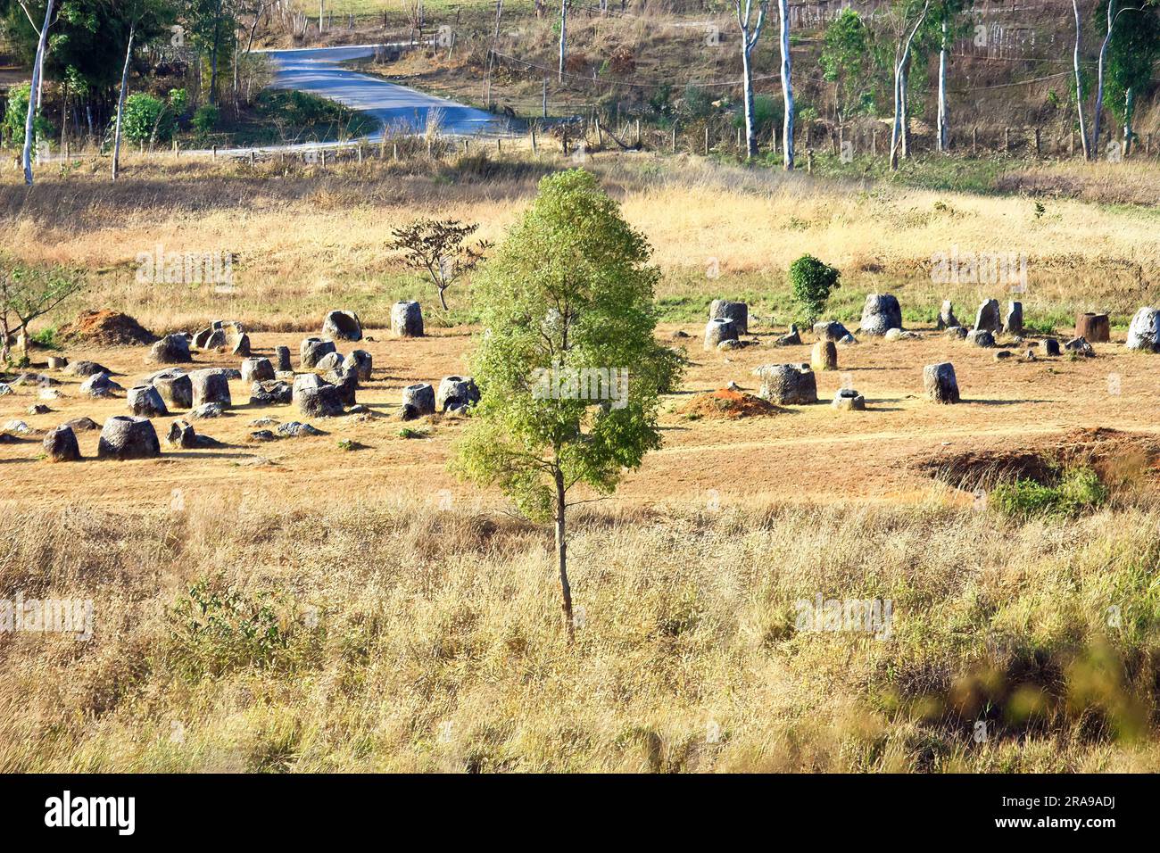 Plain of jars Stock Photo - Alamy