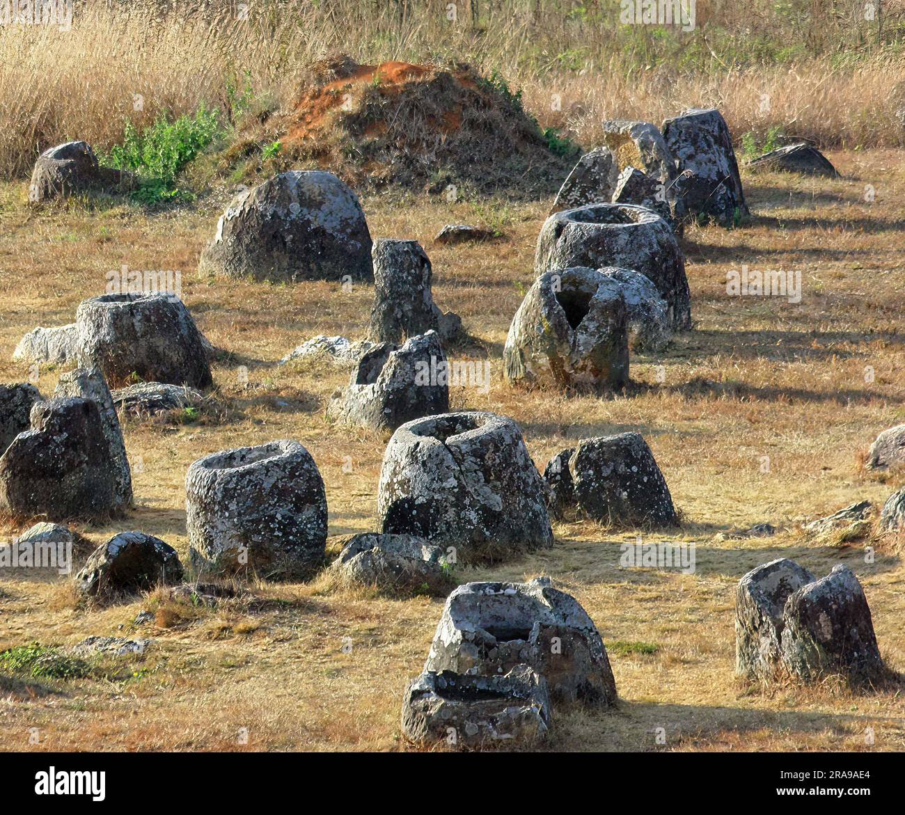 Plain of jars Stock Photo - Alamy