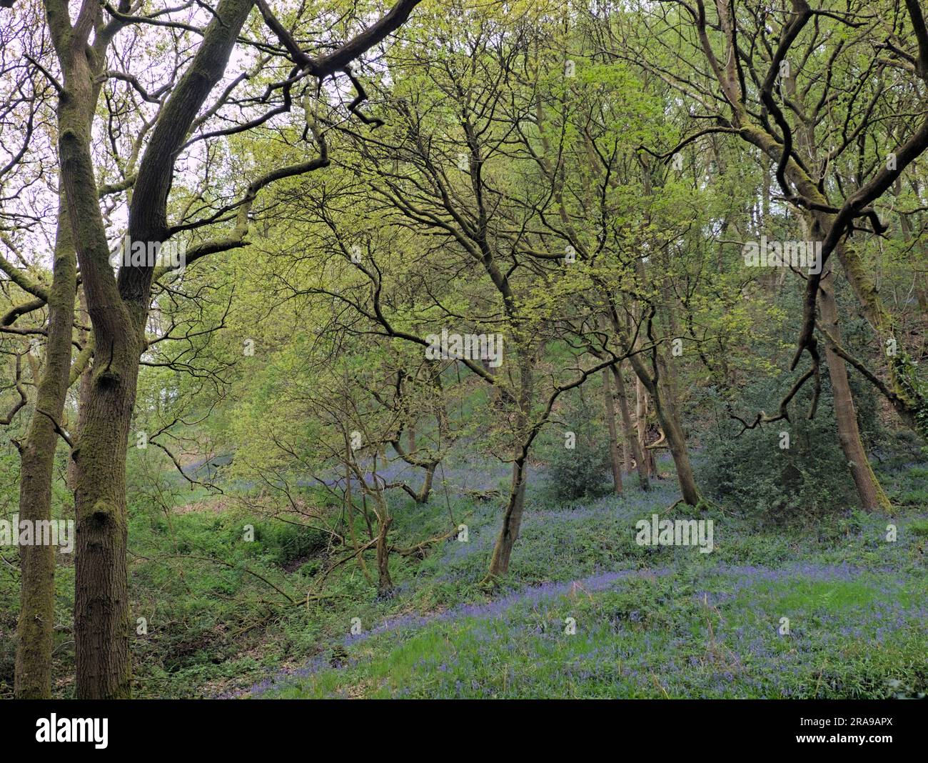 Netherton yorkshire hi-res stock photography and images - Alamy