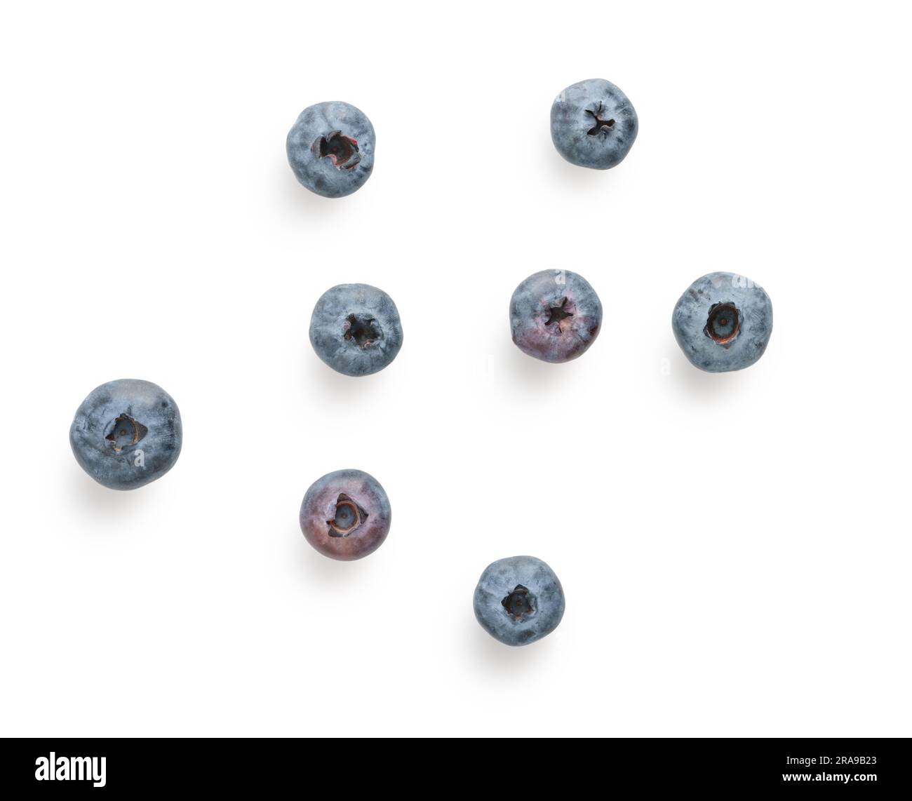 Fresh organic blueberries at different ripeness stage top view shot on ...