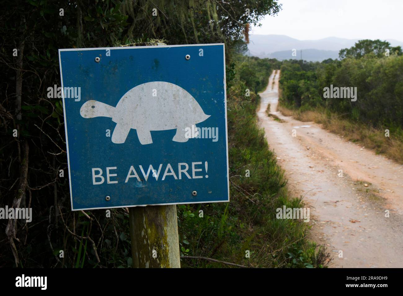 Warning sign to motorists to be aware of tortoises in the Goukamma ...