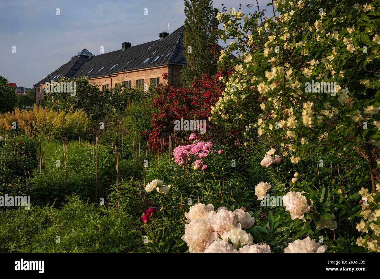 The University Botanical Garden (Botanisk hage) is Norway's oldest ...