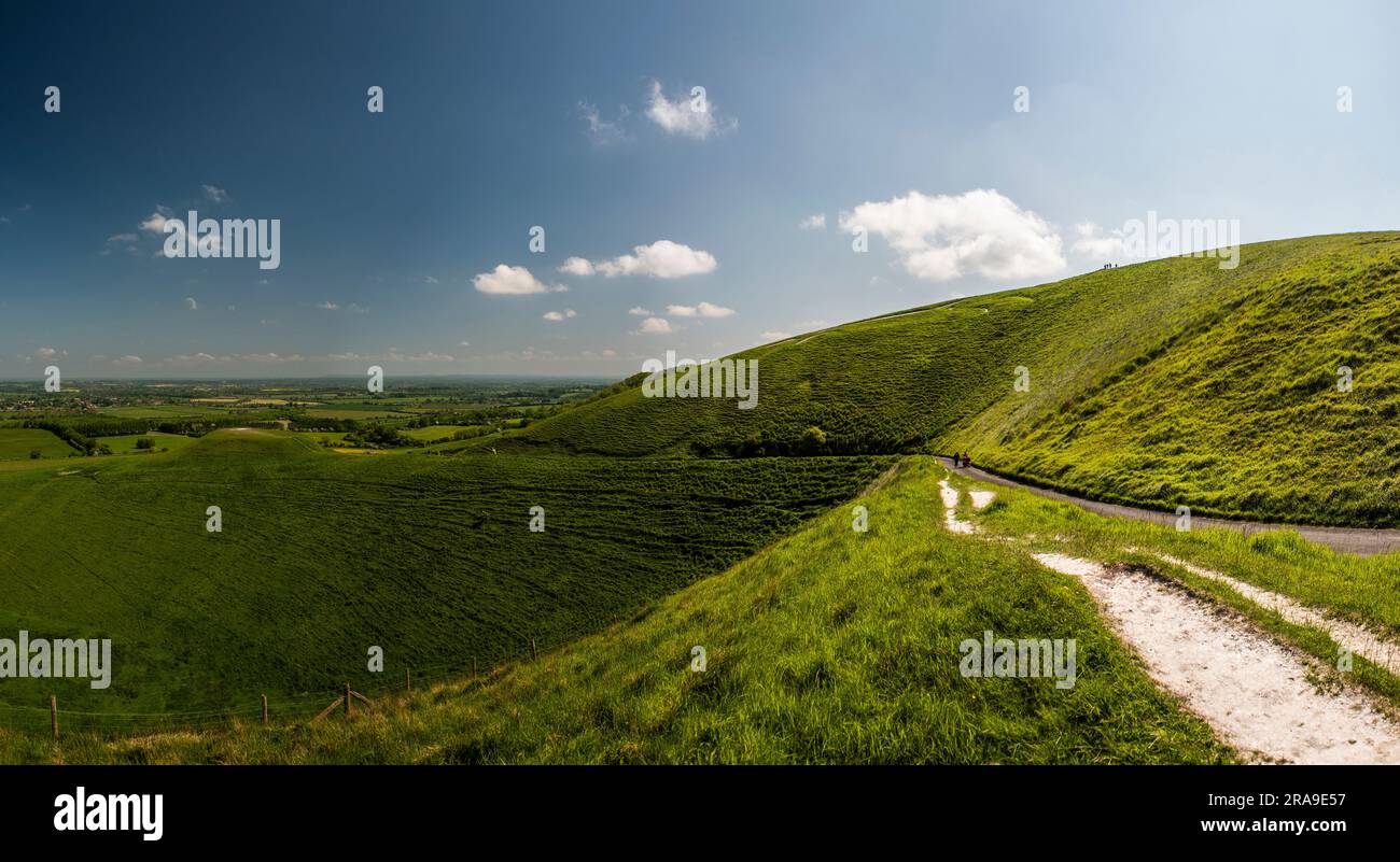 The cut chalk Bronze Age figure of the Uffington White Horse in ...