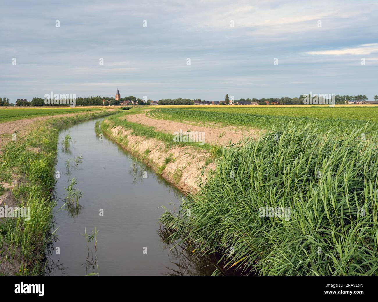 canal and fields in belgian province of west flanders Stock Photo - Alamy