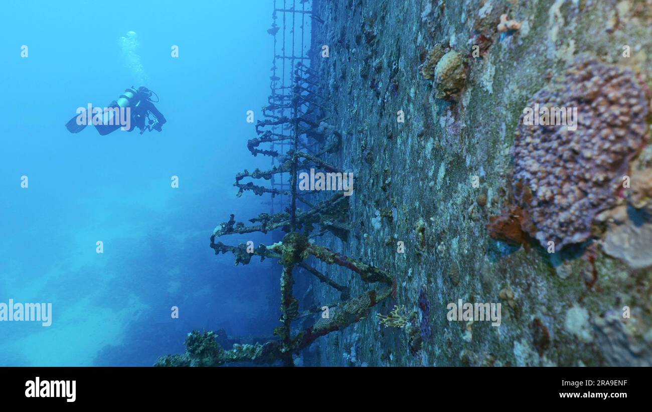 Scuba diver swim along deck of ferry Salem Express shipwreck ...