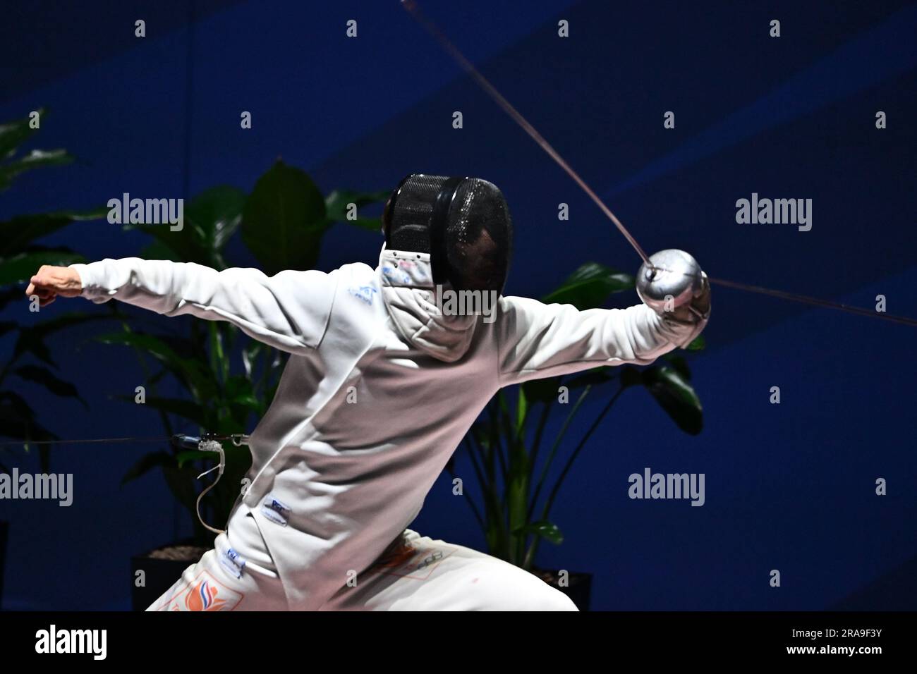 Tristan tulen hi-res stock photography and images - Alamy