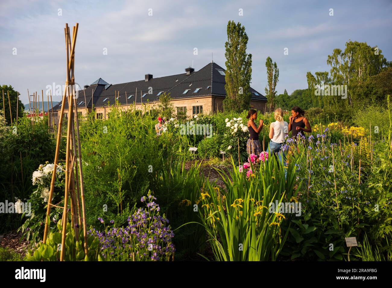 Oslo, Norway, June 20, 2023: The University Botanical Garden (Botanisk ...