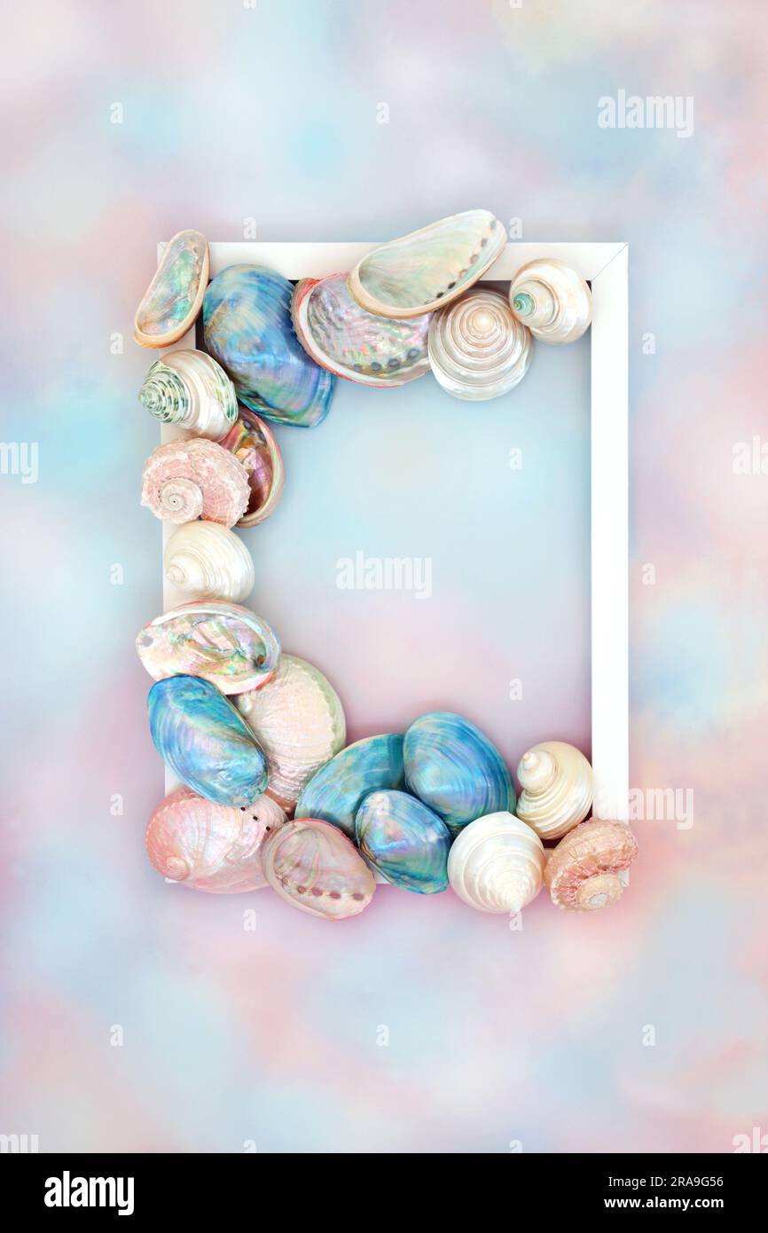 Mother of pearl natural seashell frame decoration on rainbow sky cloud ...