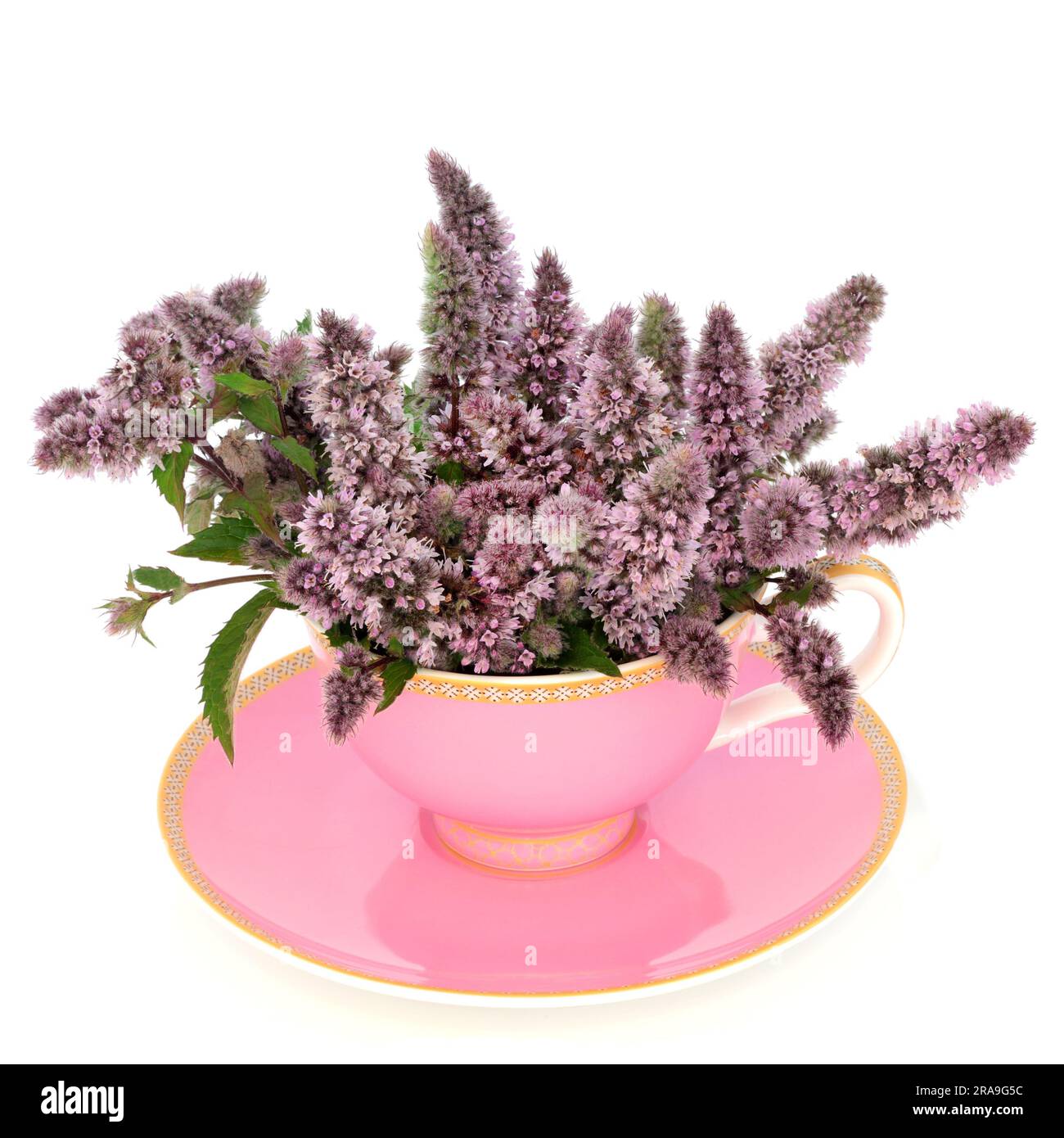 Peppermint flower leaf tea in pink teacup on white background. Relieves ...