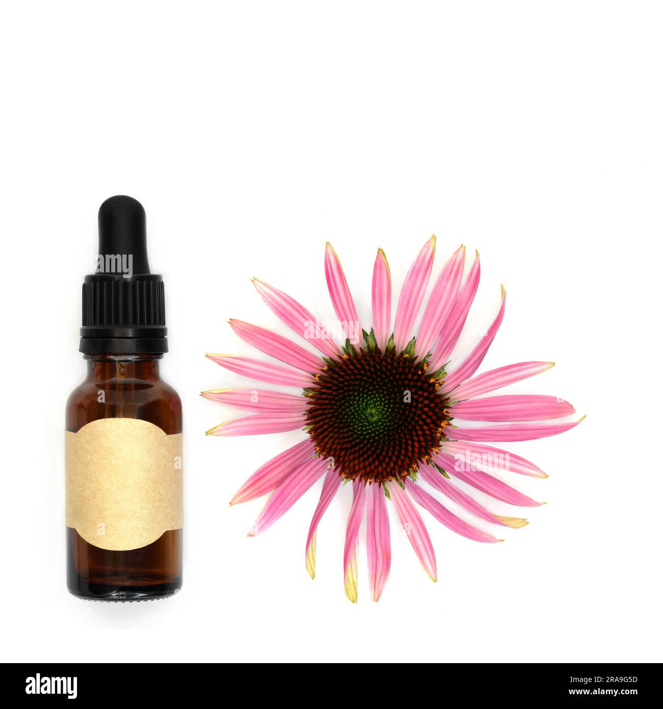 Echinacea tincture bottle for coughs colds and bronchitis remedies with ...