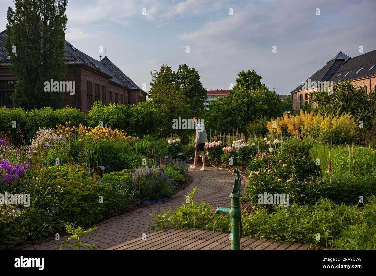 Oslo, Norway, June 20, 2023: The University Botanical Garden (Botanisk ...