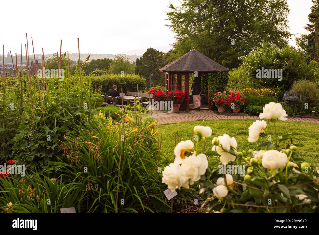 Oslo, Norway, June 20, 2023: The University Botanical Garden (Botanisk ...