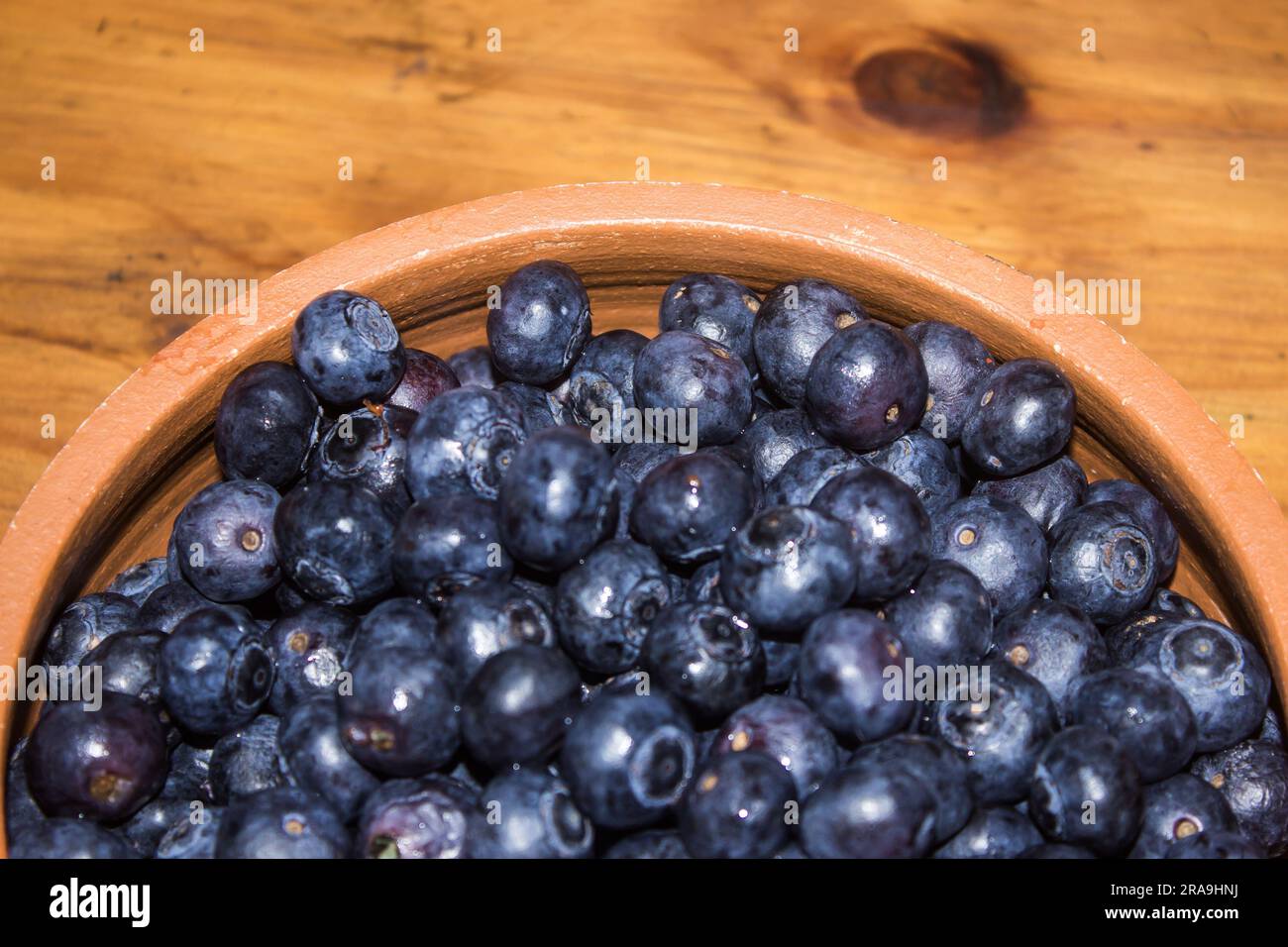 Family of the blueberries hi-res stock photography and images - Alamy