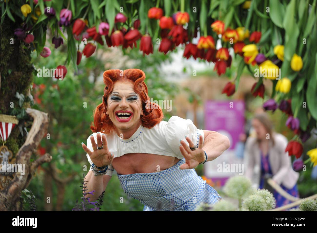Drag artist Gigi Capri in costume as Dorothy from the Wizard of Oz on ...