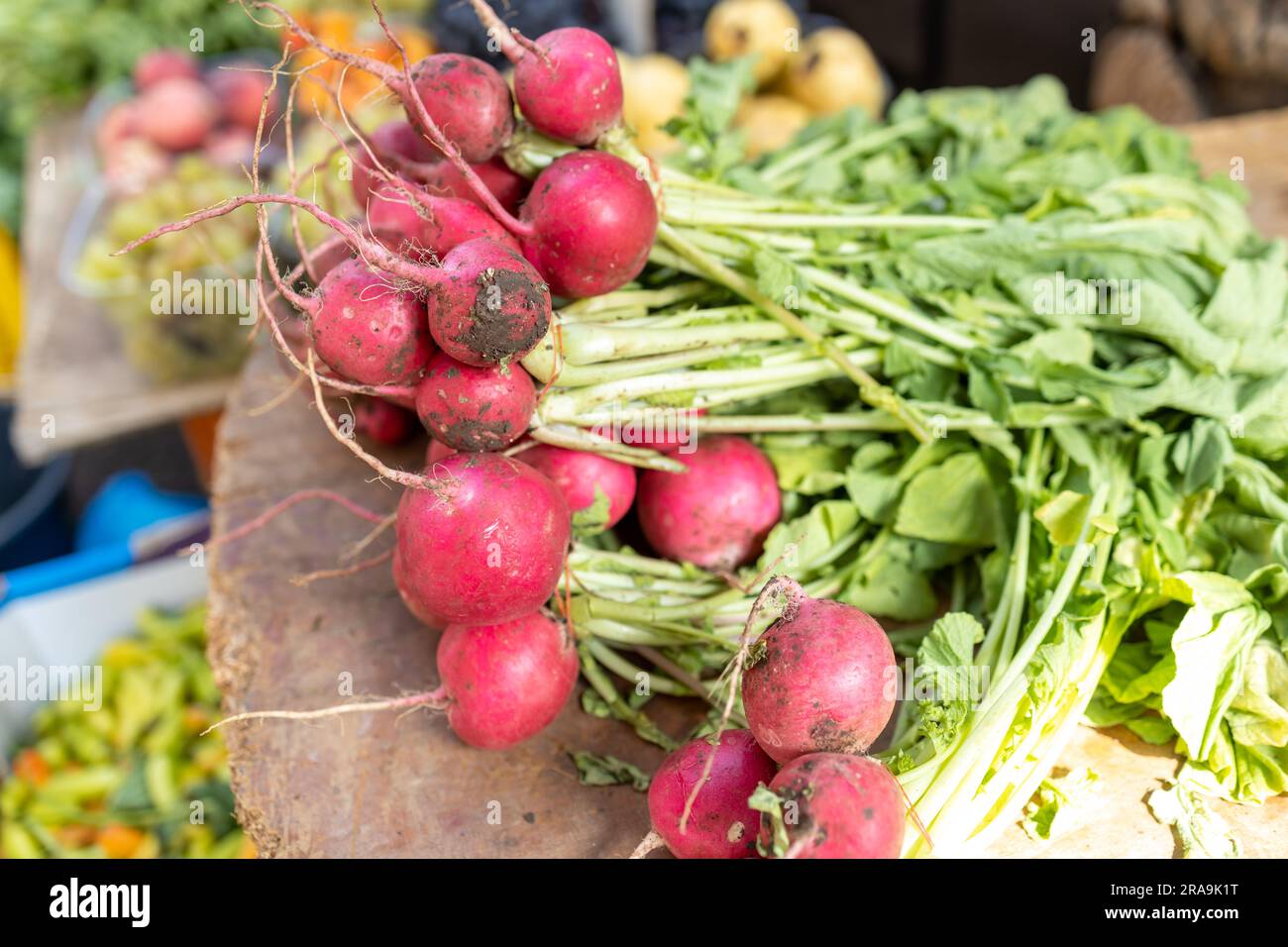 Radishes in a supermarket hi-res stock photography and images - Alamy