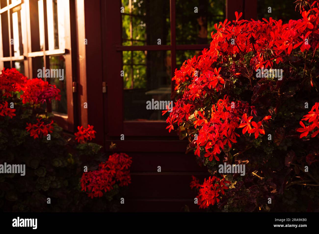 Botanisk hage is Oslo, Norway's oldest botanical garden, a free oasis ...