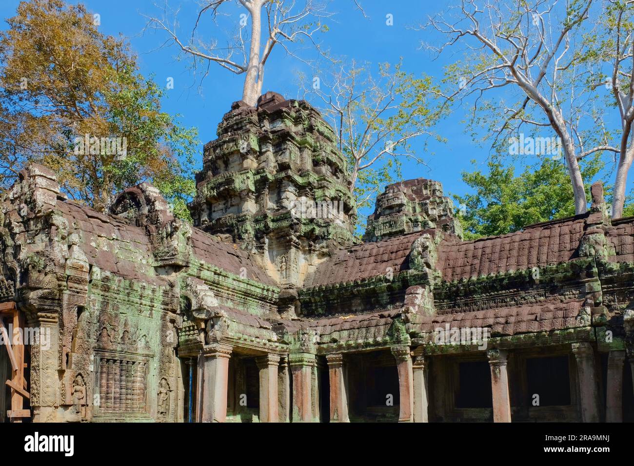 Picture showing the ruins of the famous Khmer temple of Ta Prohm, a ...