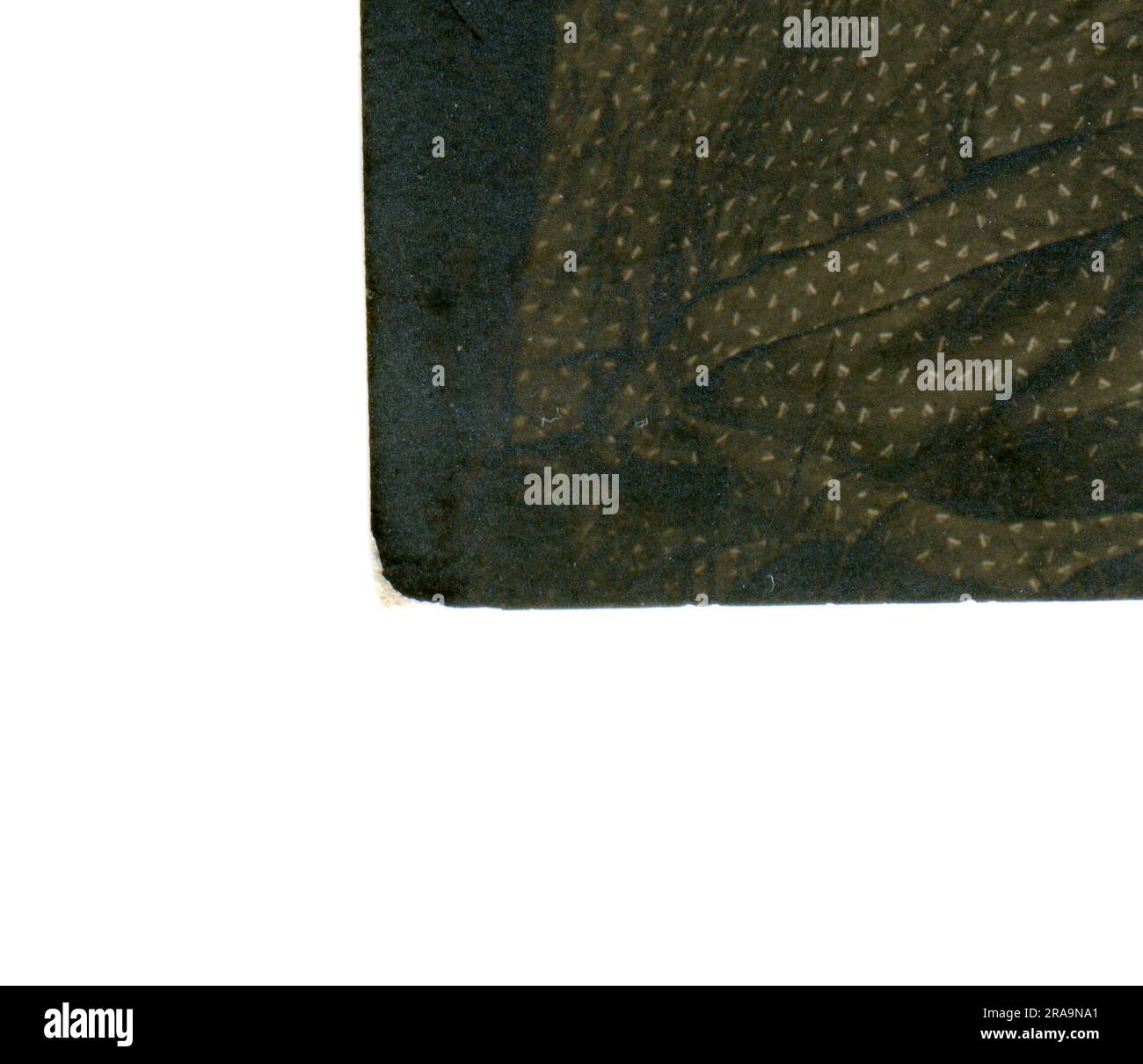 Lev Nikolayevich Tolstoy (Russian: Лев Николаевич Толстой; 9 September ...