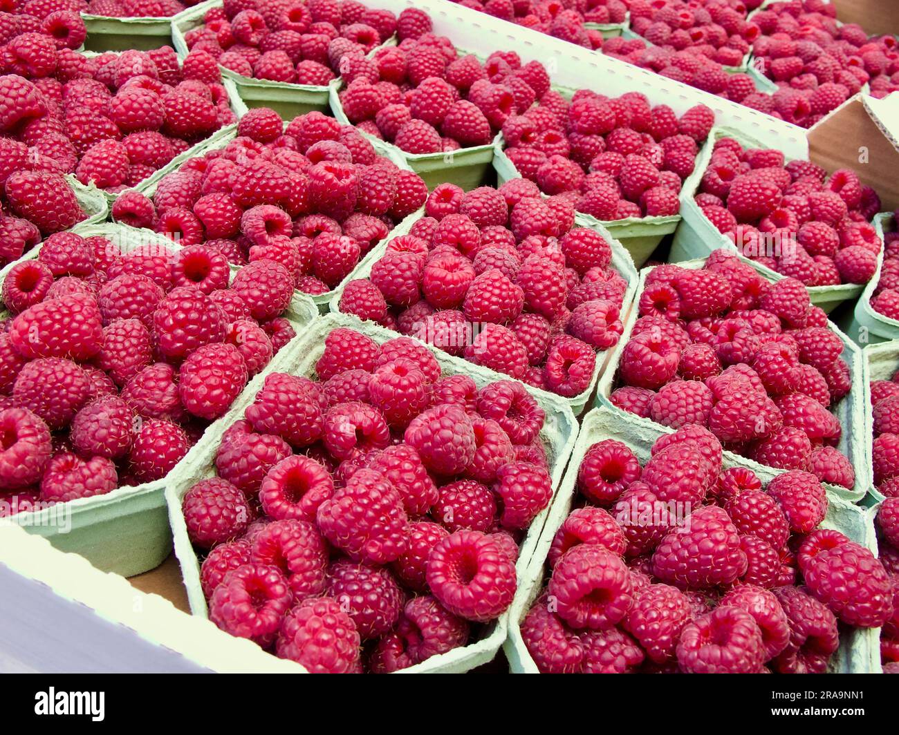 Fresh raspberries in fruit boxes for sale at farmers market in fall ...