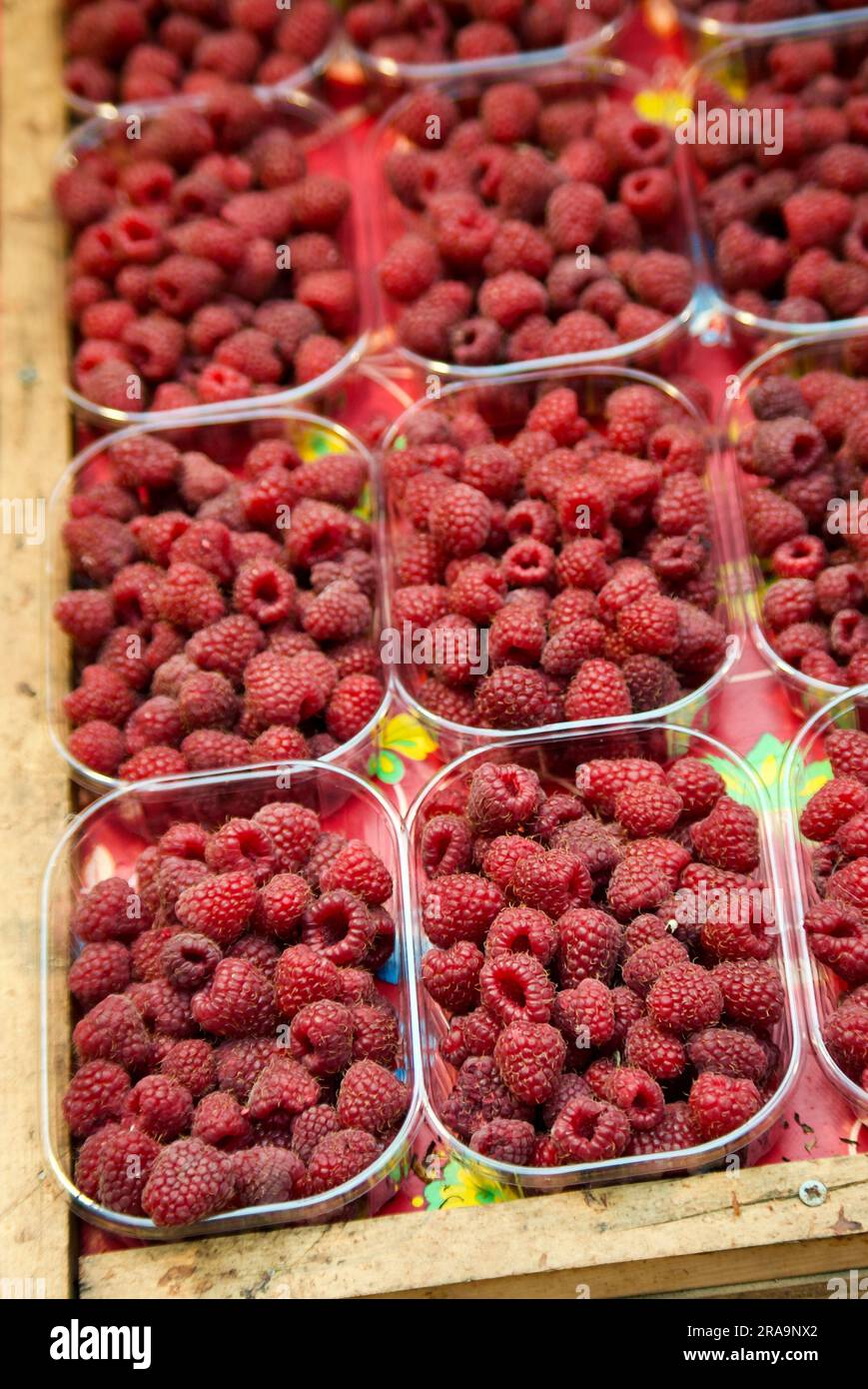 Fresh red raspberries in fruit boxes for sale at farmers market in fall ...