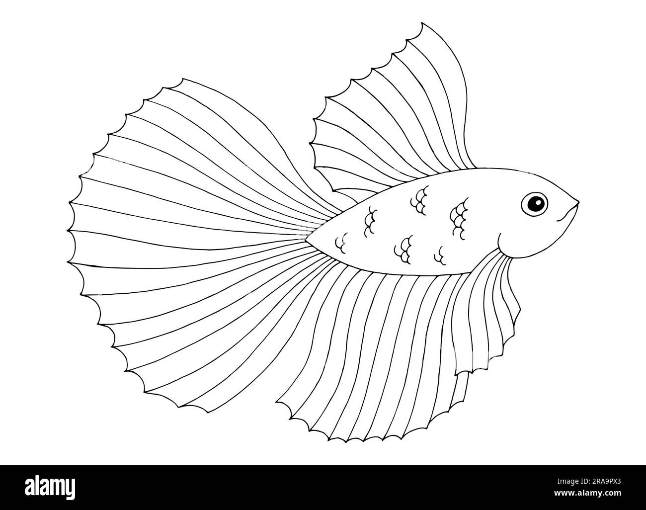 Graph Types Of Fish Eaten In The World