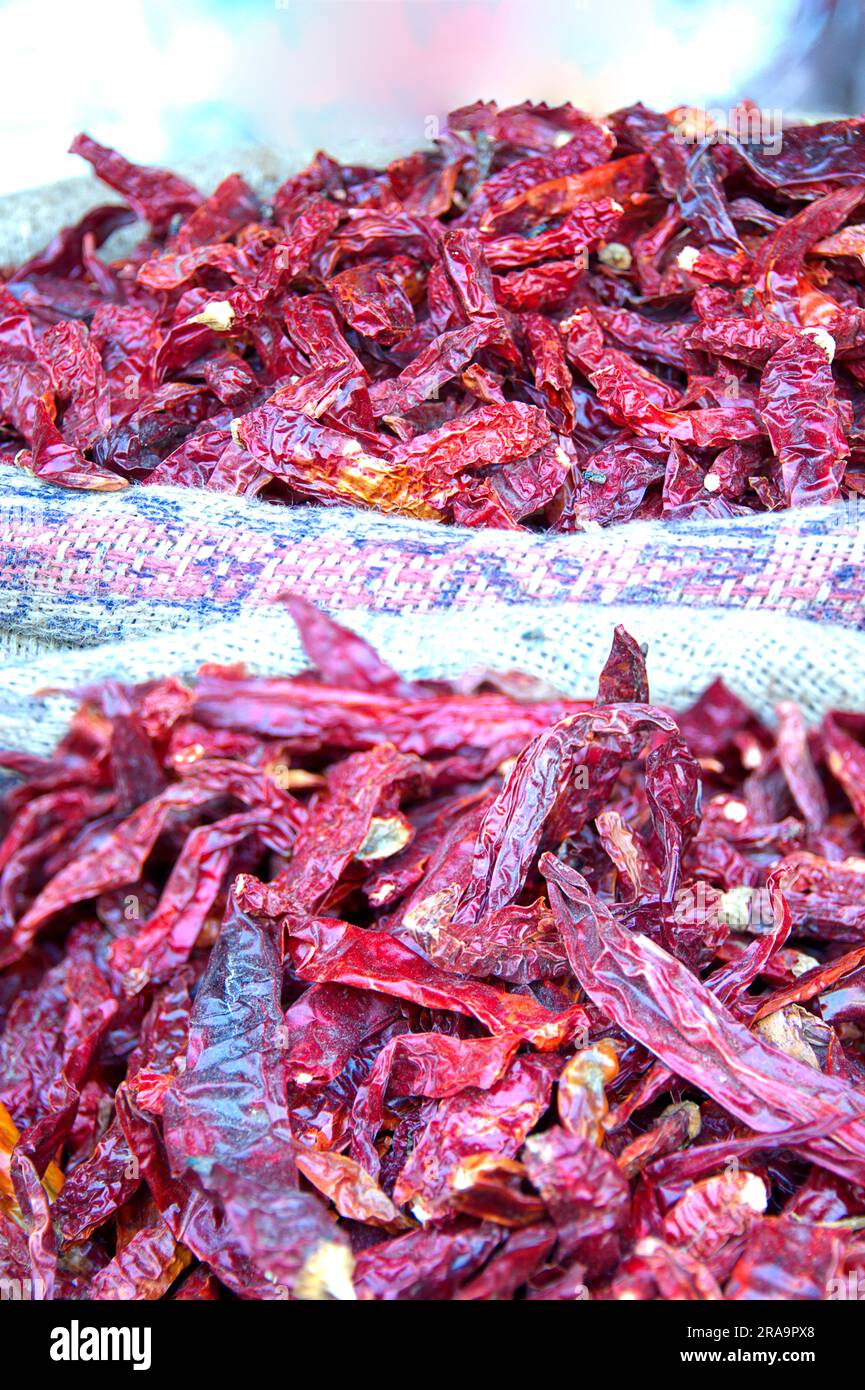 Red chillies in abundance at the local market in India Stock Photo - Alamy