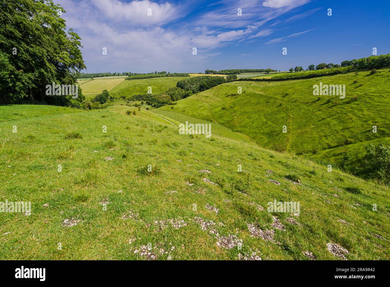 The quiet Painsthorpe Dale in the Yorkshire Wolds, once painted by the ...