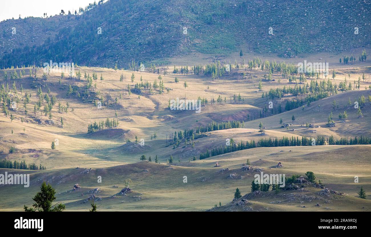 In the Bahr valley Stock Photo - Alamy