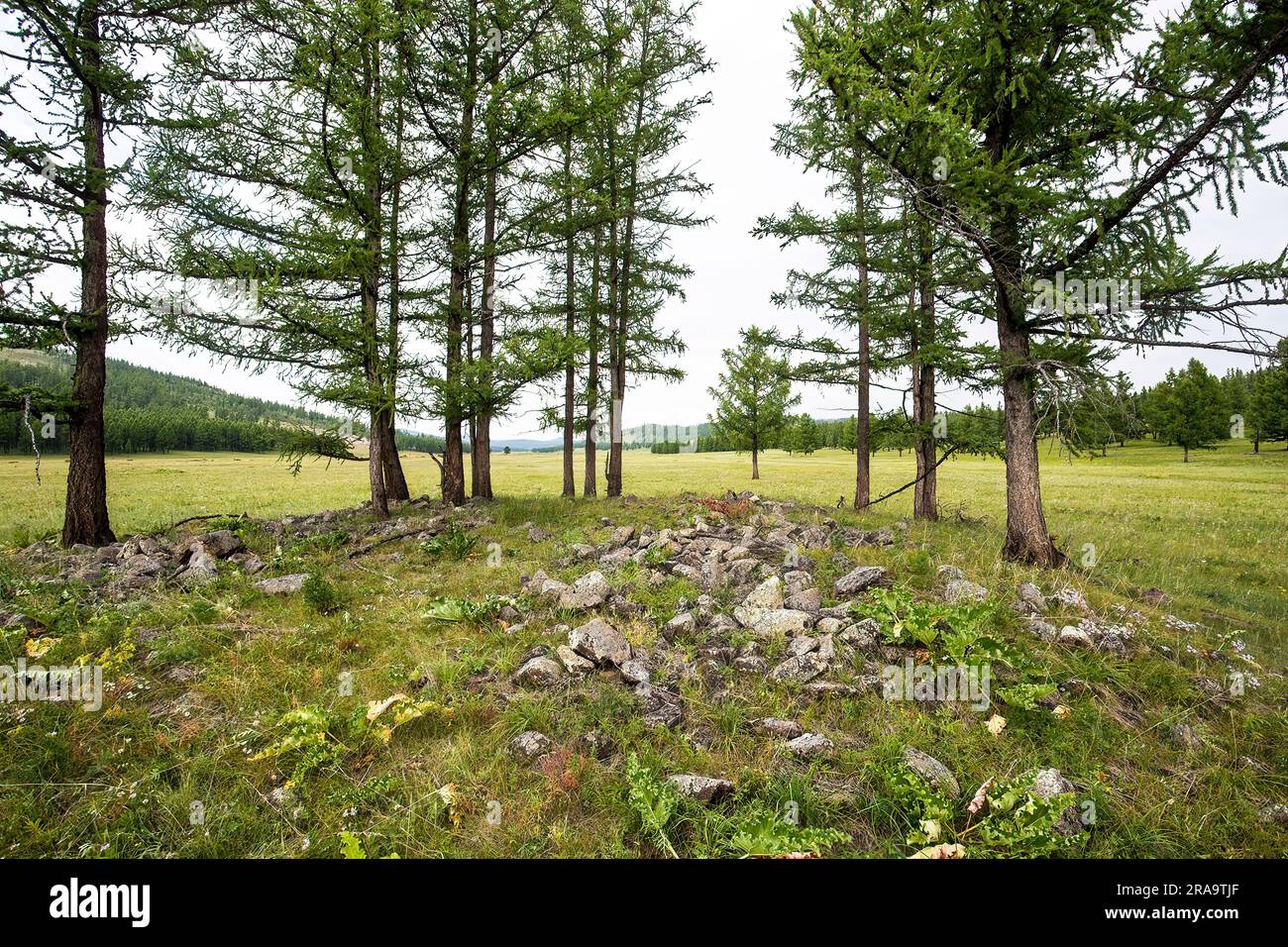 An ancient cemetery Stock Photo - Alamy