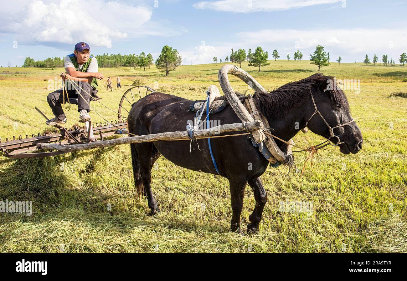 Farm work in Batshireet Stock Photo - Alamy