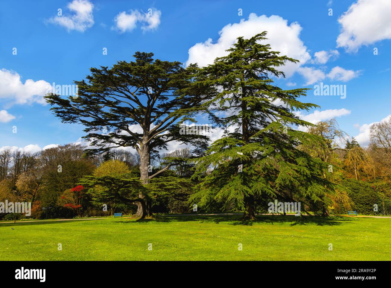 Spring season in the grounds of Hillsborough Palace, formerly known as ...