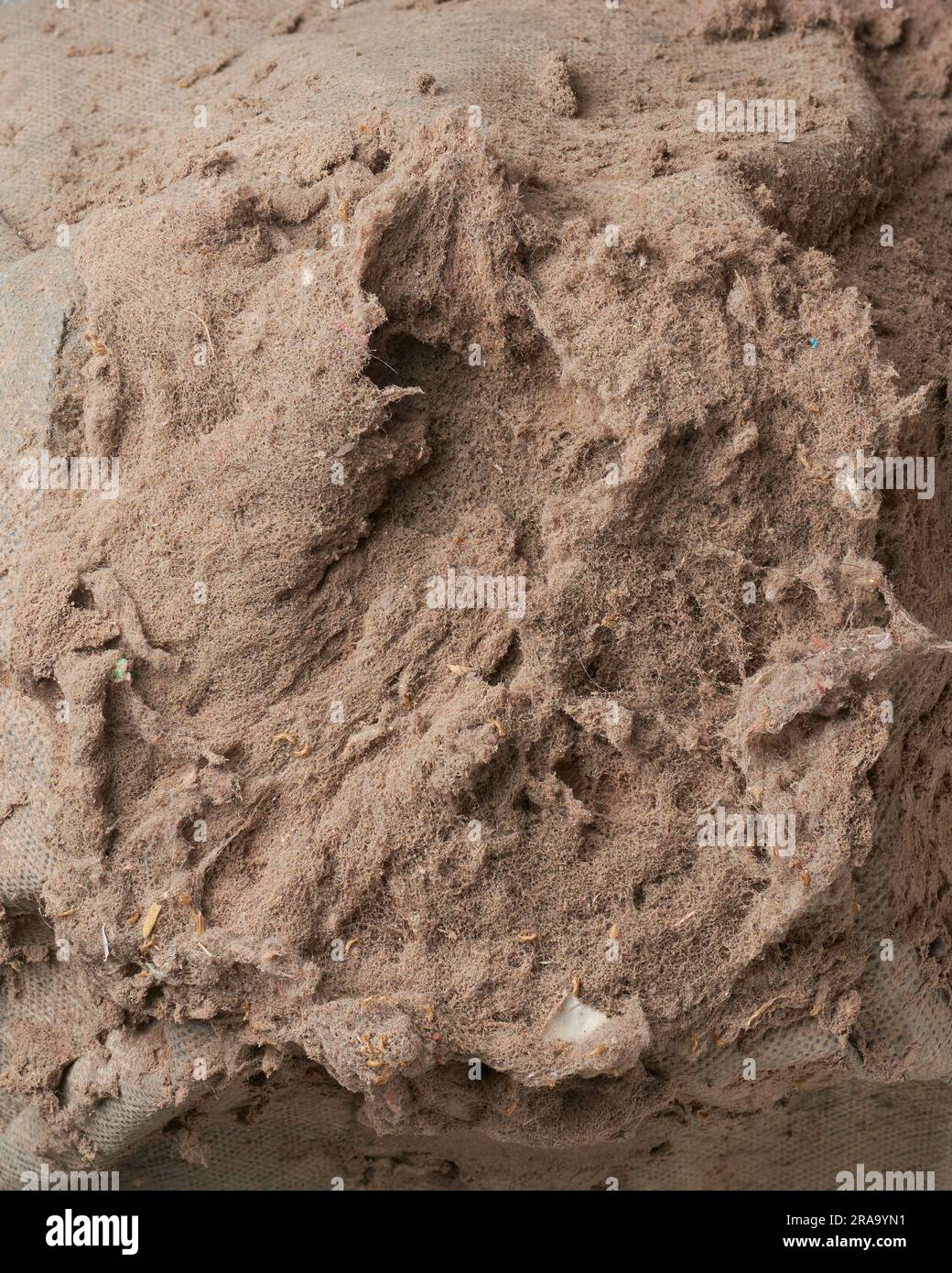 close-up of dirty dust filter of vacuum cleaner, service household ...