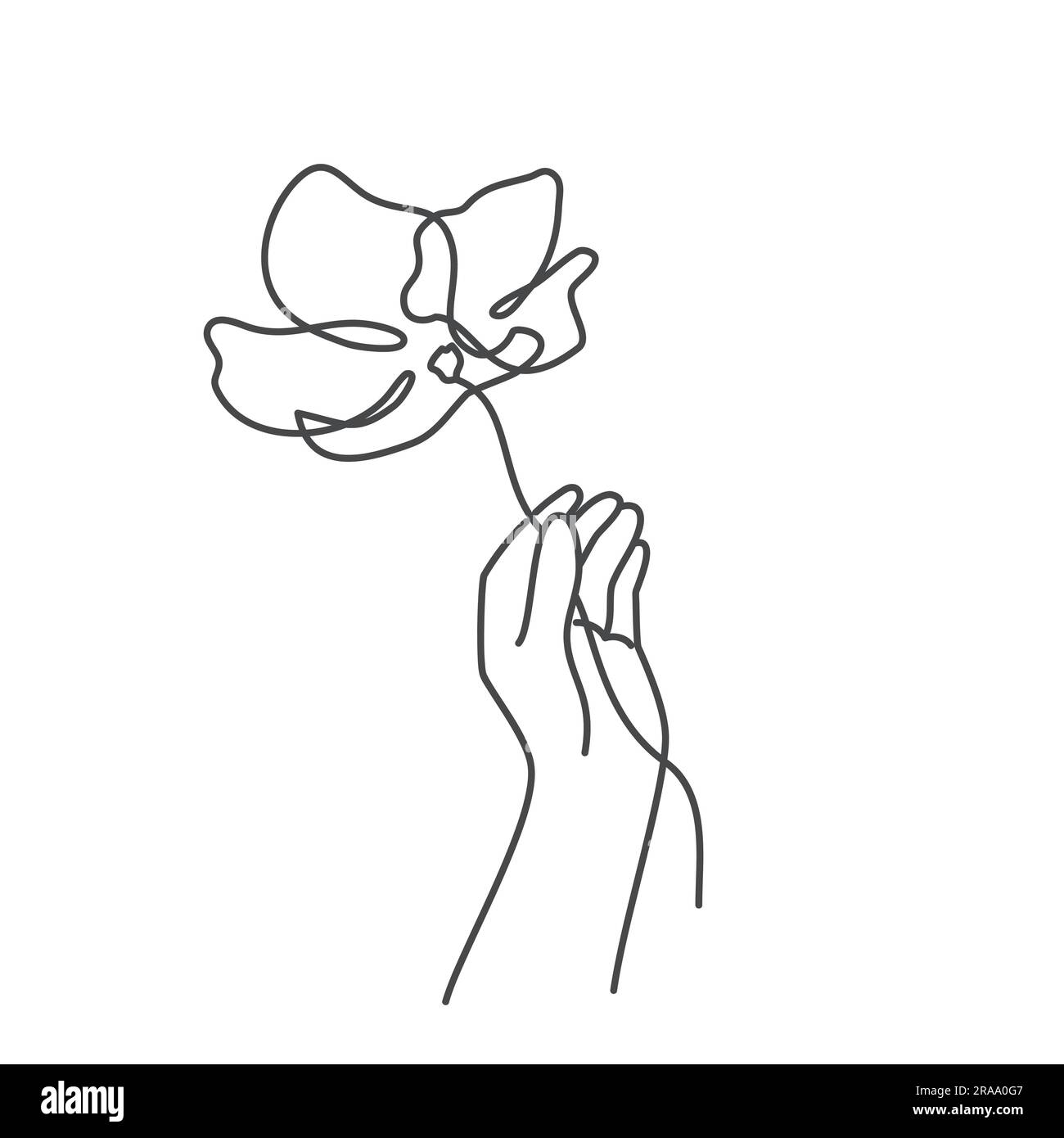 Beautiful flower in human hand. Hand drawn vector illustration Stock ...