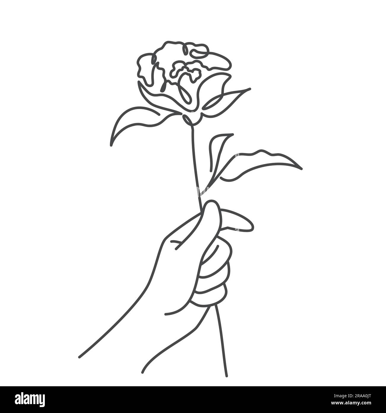 Vector Illustration Of Nature Flower Hand Drawn Vector Illustration