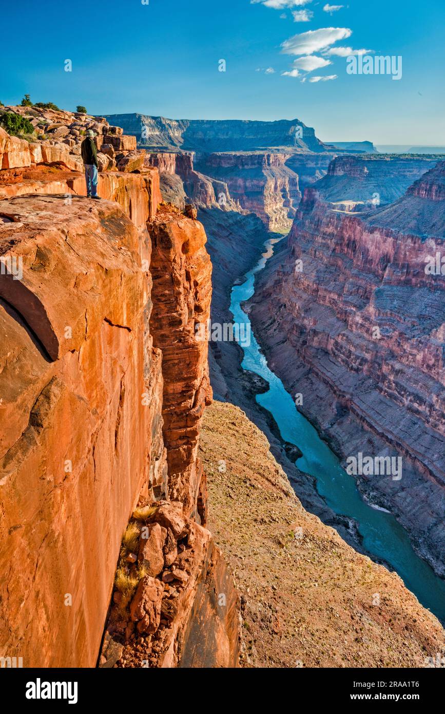 Man standing on top of Hermit shale wall at Toroweap Overlook, 3000 ft ...