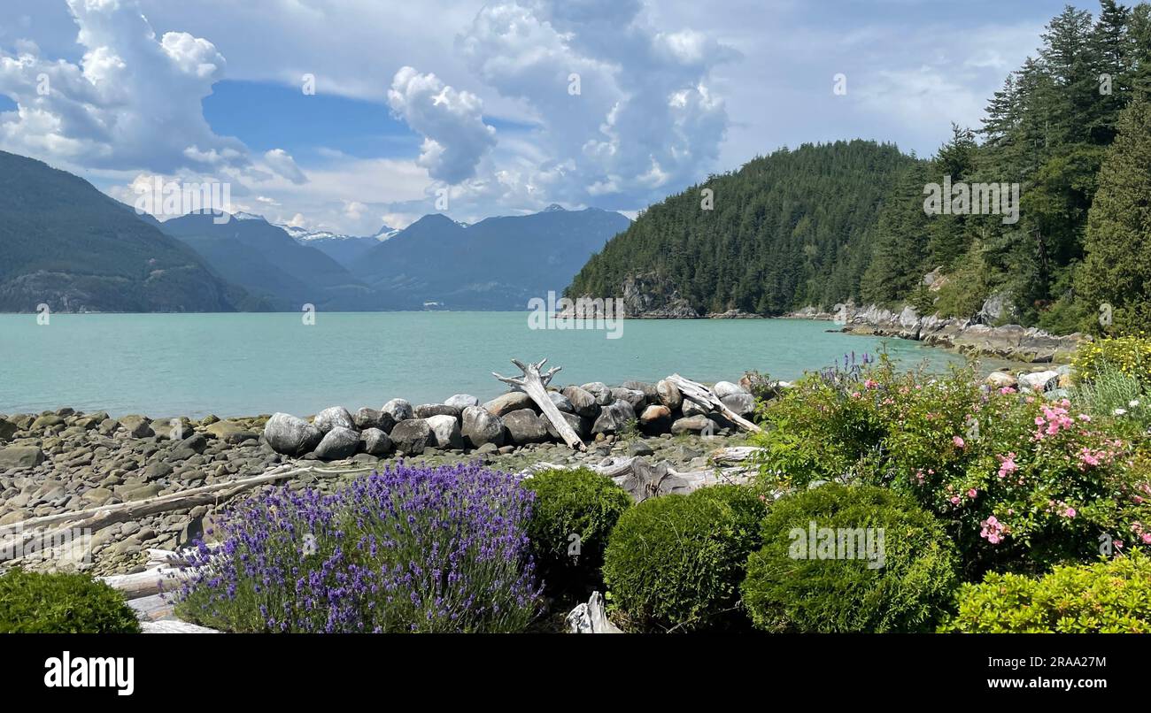 Olivers island hi-res stock photography and images - Alamy