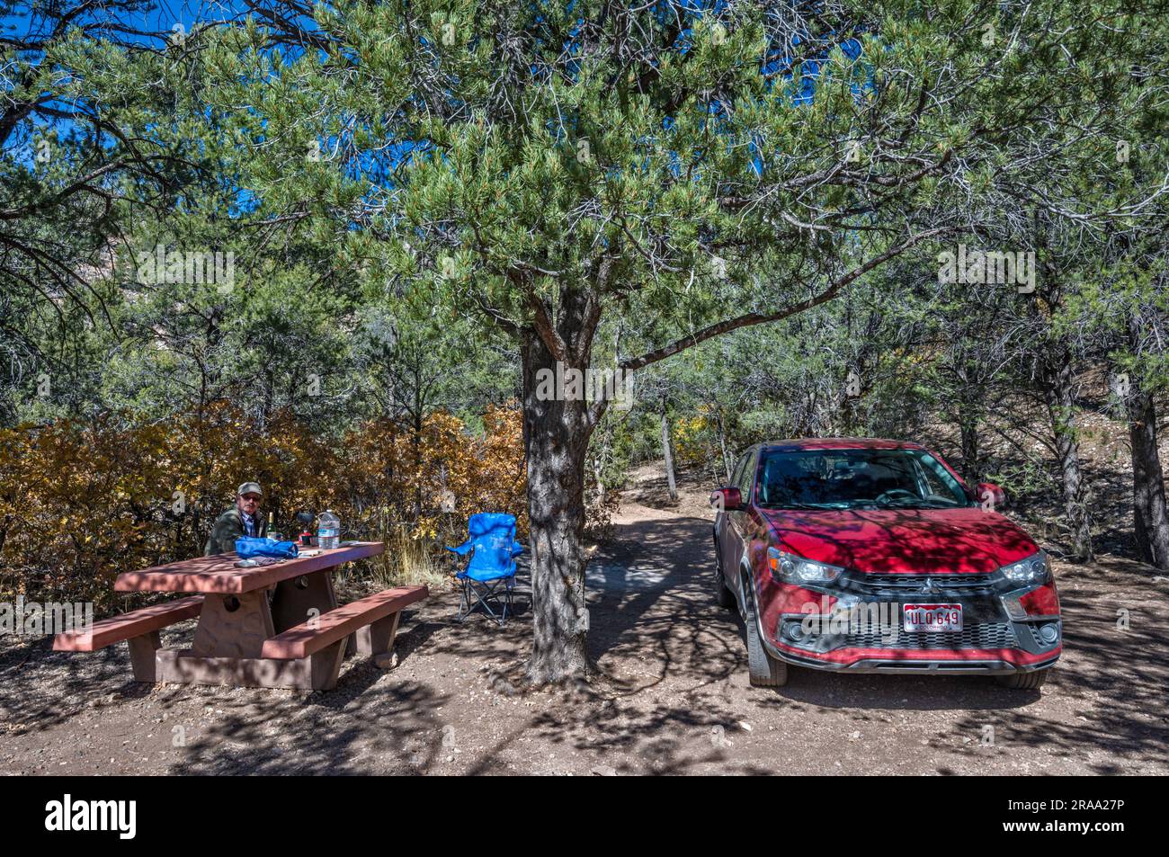 Campsite at Indian Hollow Campground, Kaibab Plateau, Kaibab National Forest, near Little Saddle ...