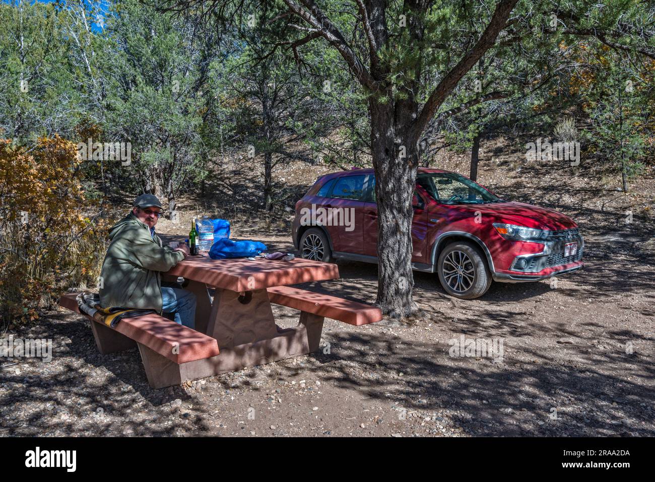 Campsite at Indian Hollow Campground, Kaibab Plateau, Kaibab National Forest, near Little Saddle ...