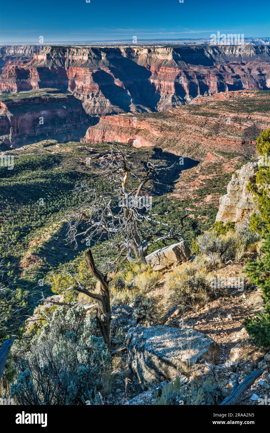 Grand Canyon, Tapeats Amphitheater area, view from Crazy Jug Point at ...