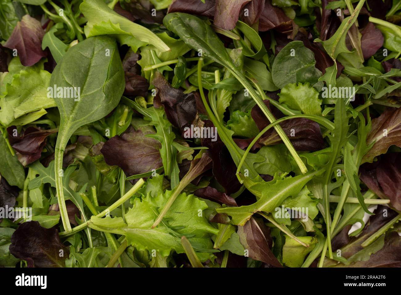 Salad texture hi-res stock photography and images - Alamy