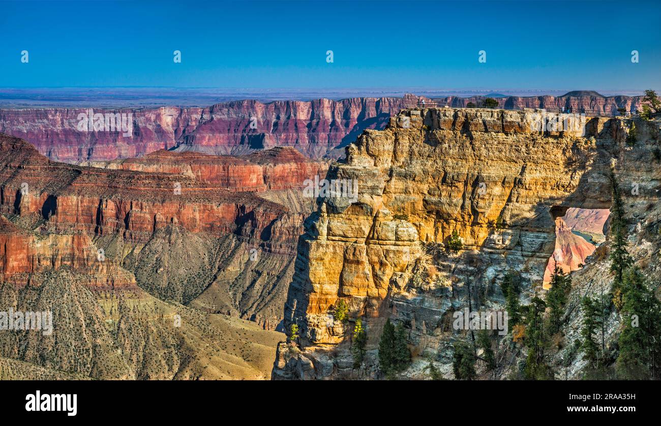 Angels Window at North Rim, South Rim in distance, Grand Canyon ...
