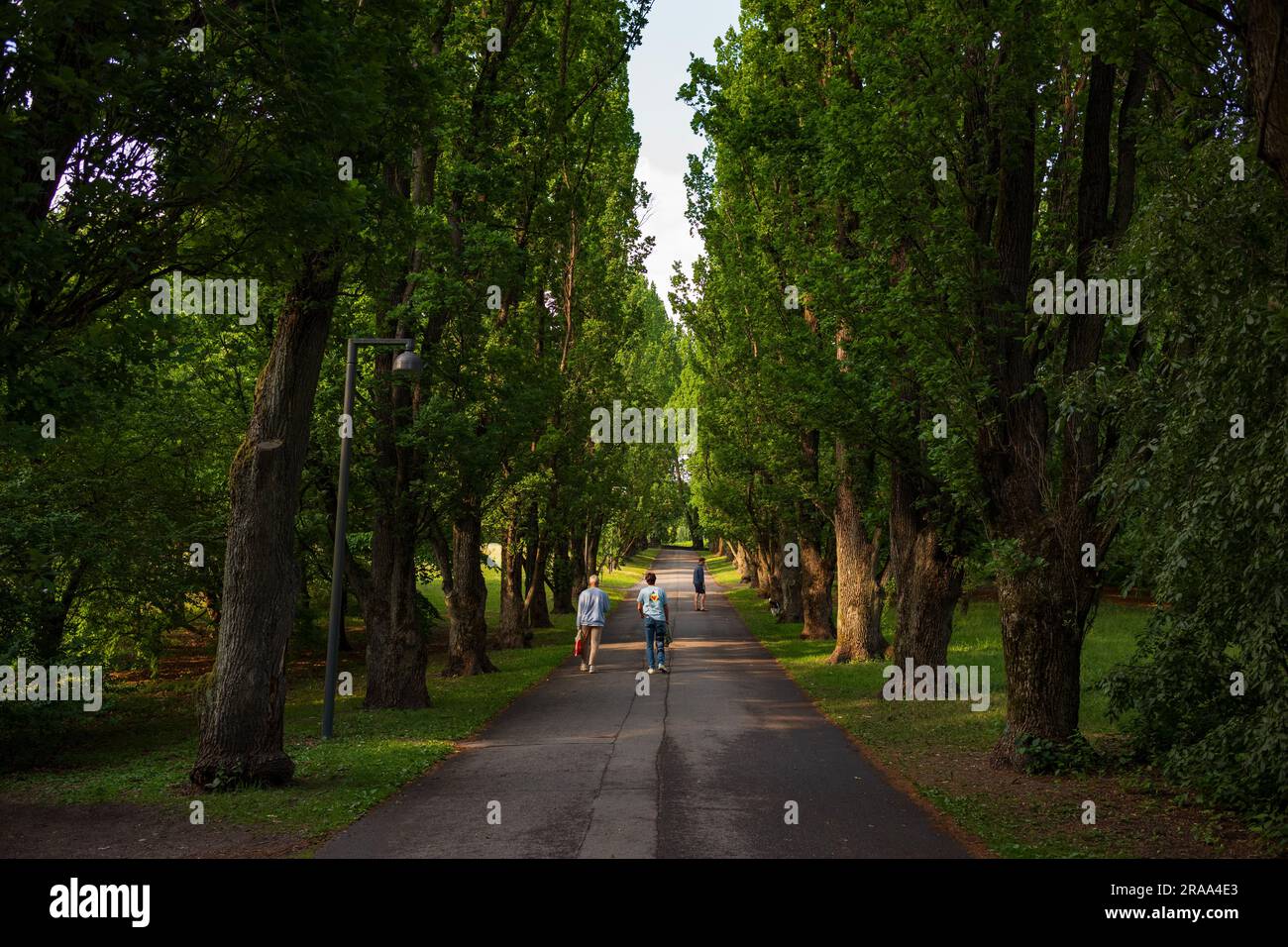 Oslo, Norway, June 20, 2023: The University Botanical Garden (Botanisk ...
