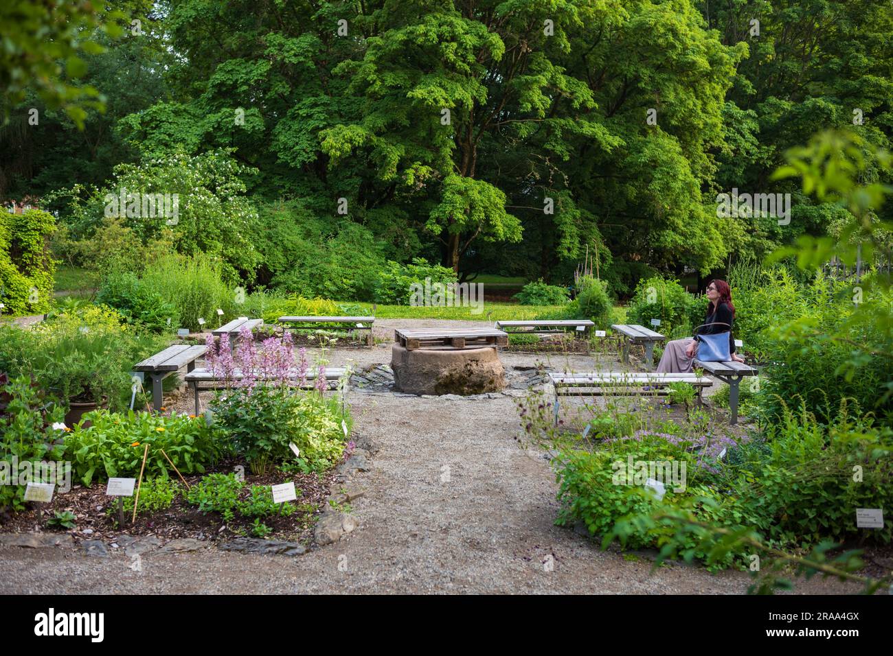 Oslo, Norway, June 20, 2023: The University Botanical Garden (Botanisk ...